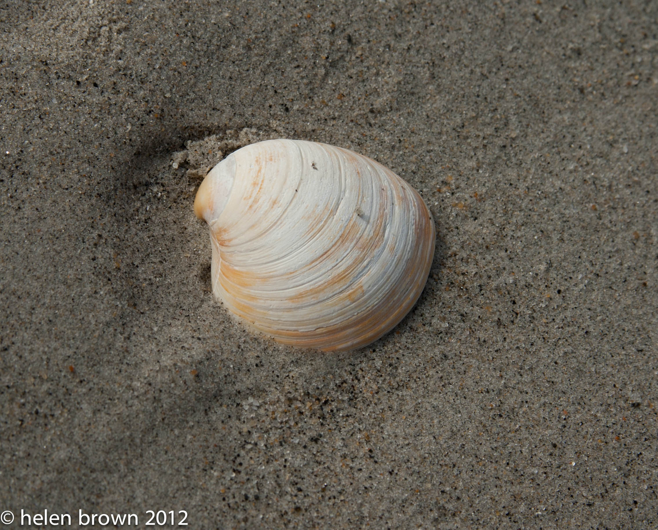 Salty Brine State Beach, Rhode Island – Travel With Laughter