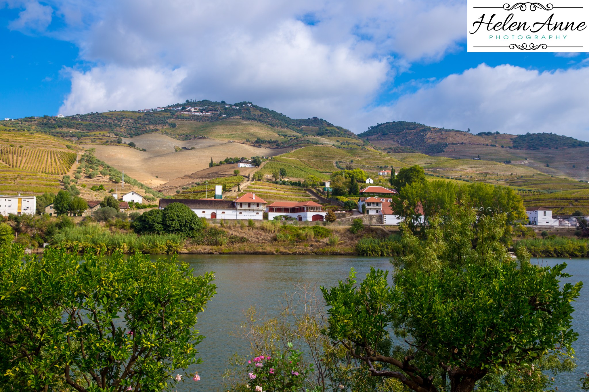 Discovering Portugal’s Quintas: A Wine Lover’s Paradise – Travel With ...